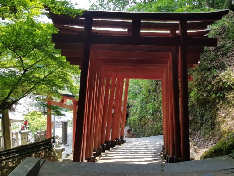 Muktuk | setzt Segel